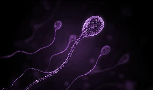 IVF, IUI, ICSI, HSG - Expertise Team