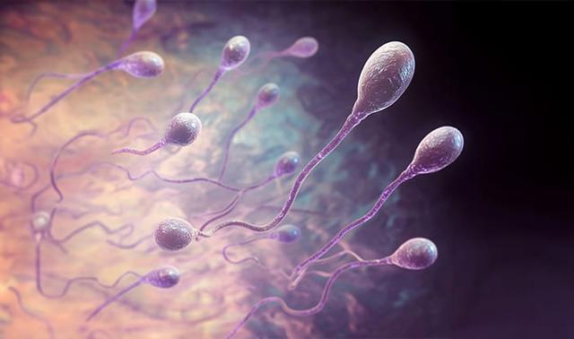 IVF, IUI, ICSI, HSG - Expertise Team