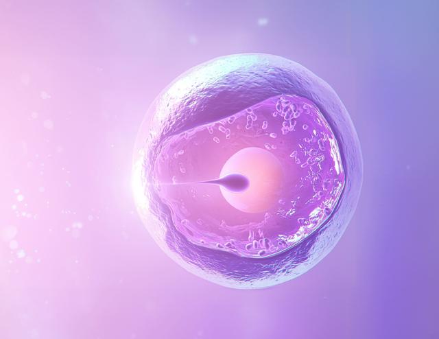 Fertility Clinic | Top IVF Centres in India | Oasis Fertility