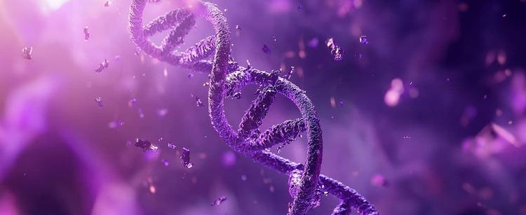 DFI – DNA Fragmentation Index Of Sperm | Oasis Fertility