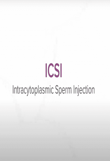 ICSI (Intracytoplasmic Sperm Injection) Treatment: Cost, Process ...