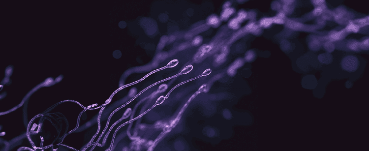 Microfluidics Sperm Sorting Technique: Cost, Process & How it works